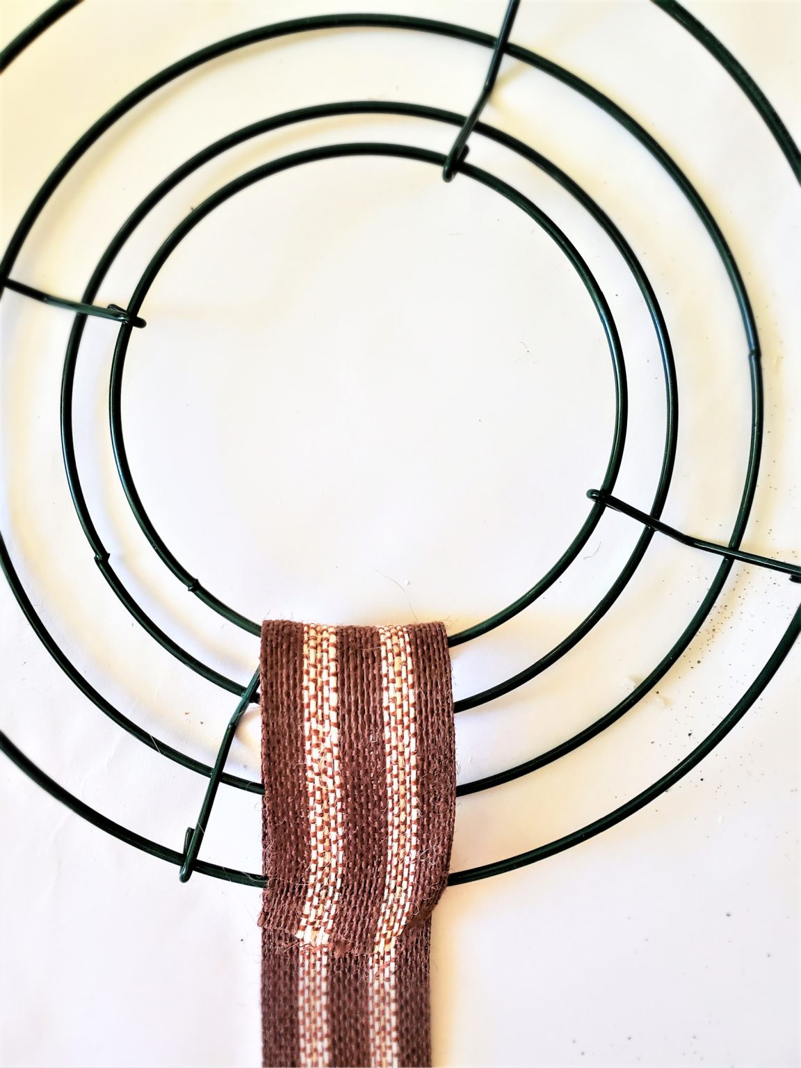 Create Your Gorgeous Fall Nut Wreath Decor Now! - Cloches & Lavender