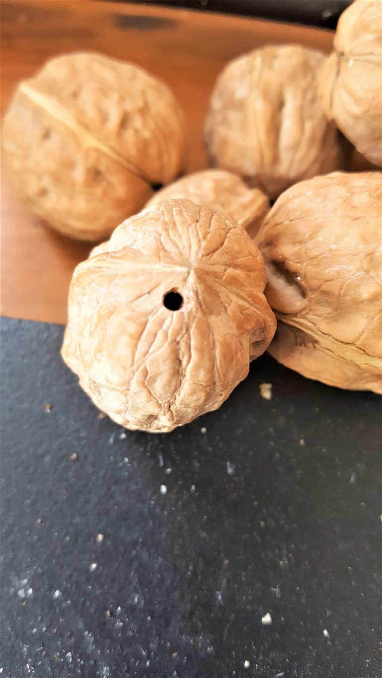 Easy Fall Walnut Garland - Cloches & Lavender