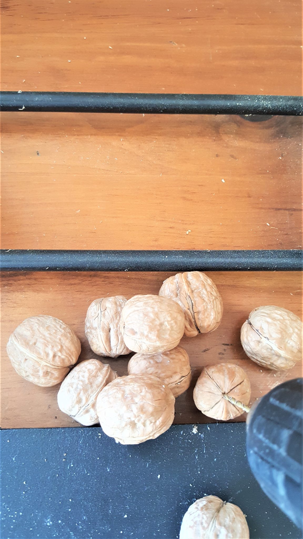 Easy Fall Walnut Garland - Cloches & Lavender