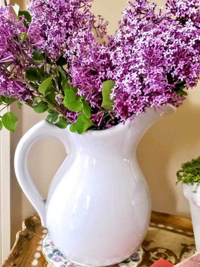 Great Ways to Use Lilacs In Decor Now! - Cloches & Lavender