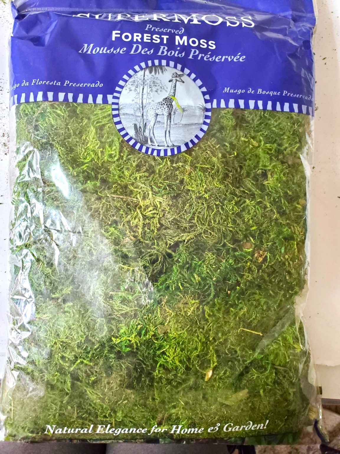 Chestnut Moss Wreath DIY - Cloches & Lavender