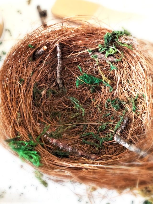 DIY Bird Nests in Minutes Cloches & Lavender
