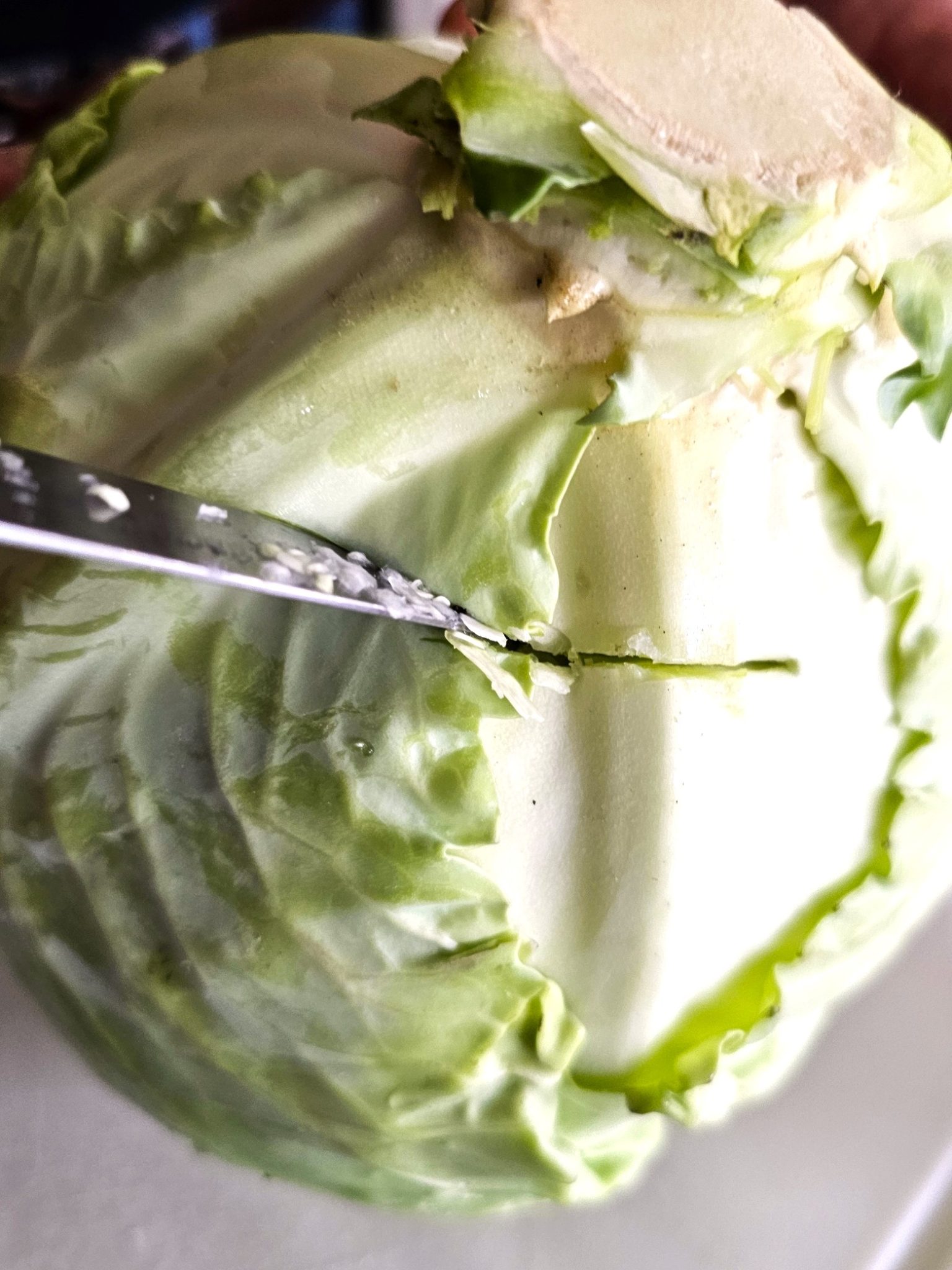 Make a Cabbage Vase Fast — Try This Now - Cloches & Lavender