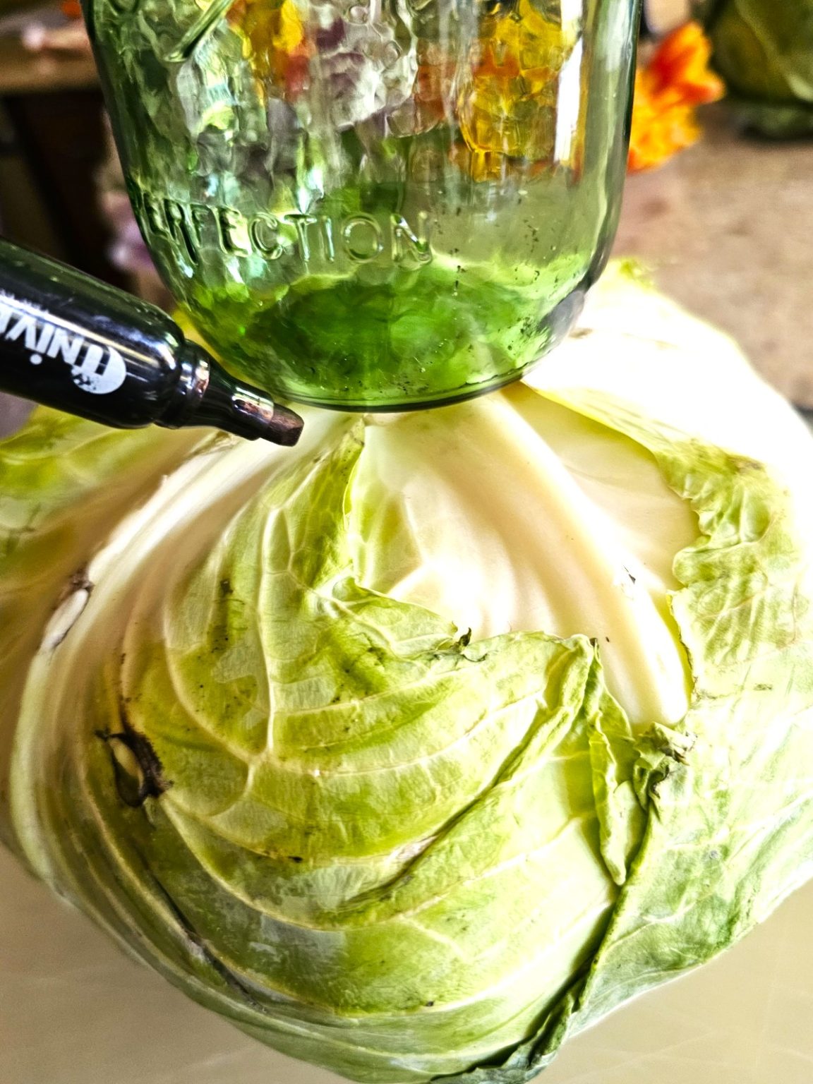 Make a Cabbage Vase Fast — Try This Now! - Cloches & Lavender