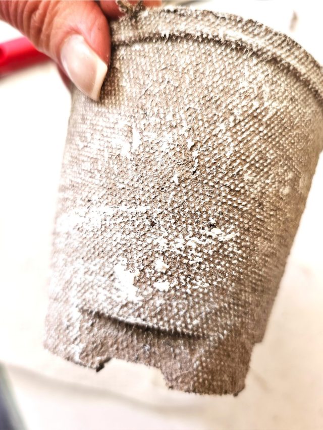 Spring Peat Pot Treat Baskets In 15 Minutes! - Cloches & Lavender