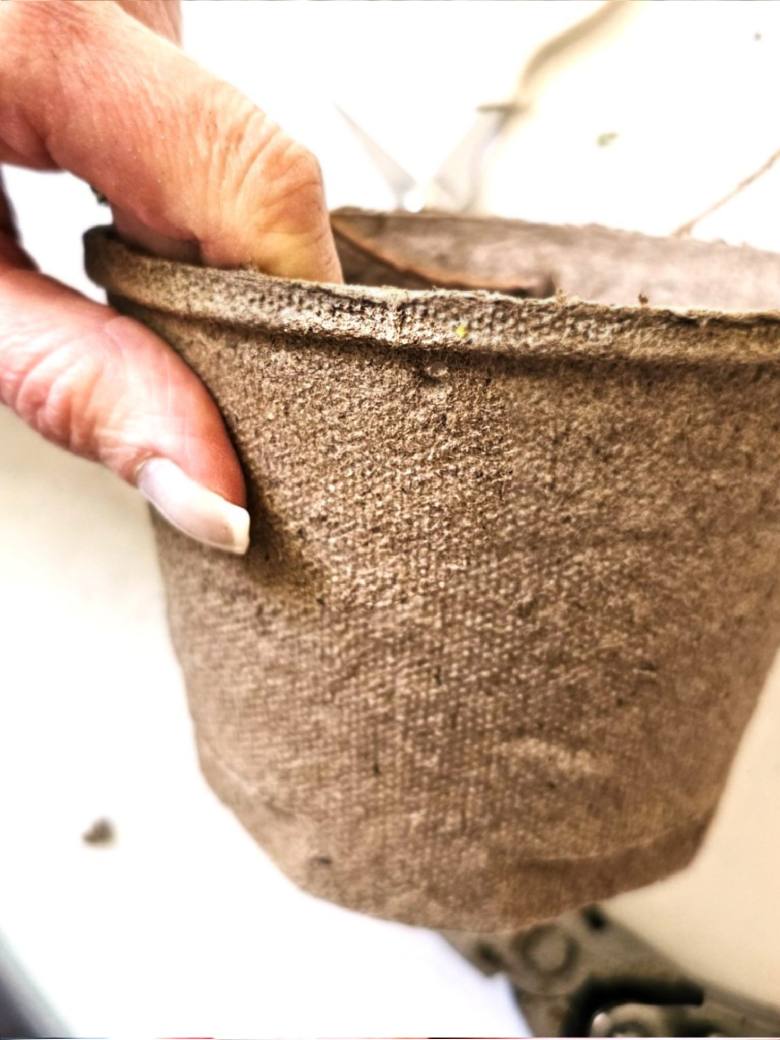 Spring Peat Pot Treat Baskets In 15 Minutes! - Cloches & Lavender