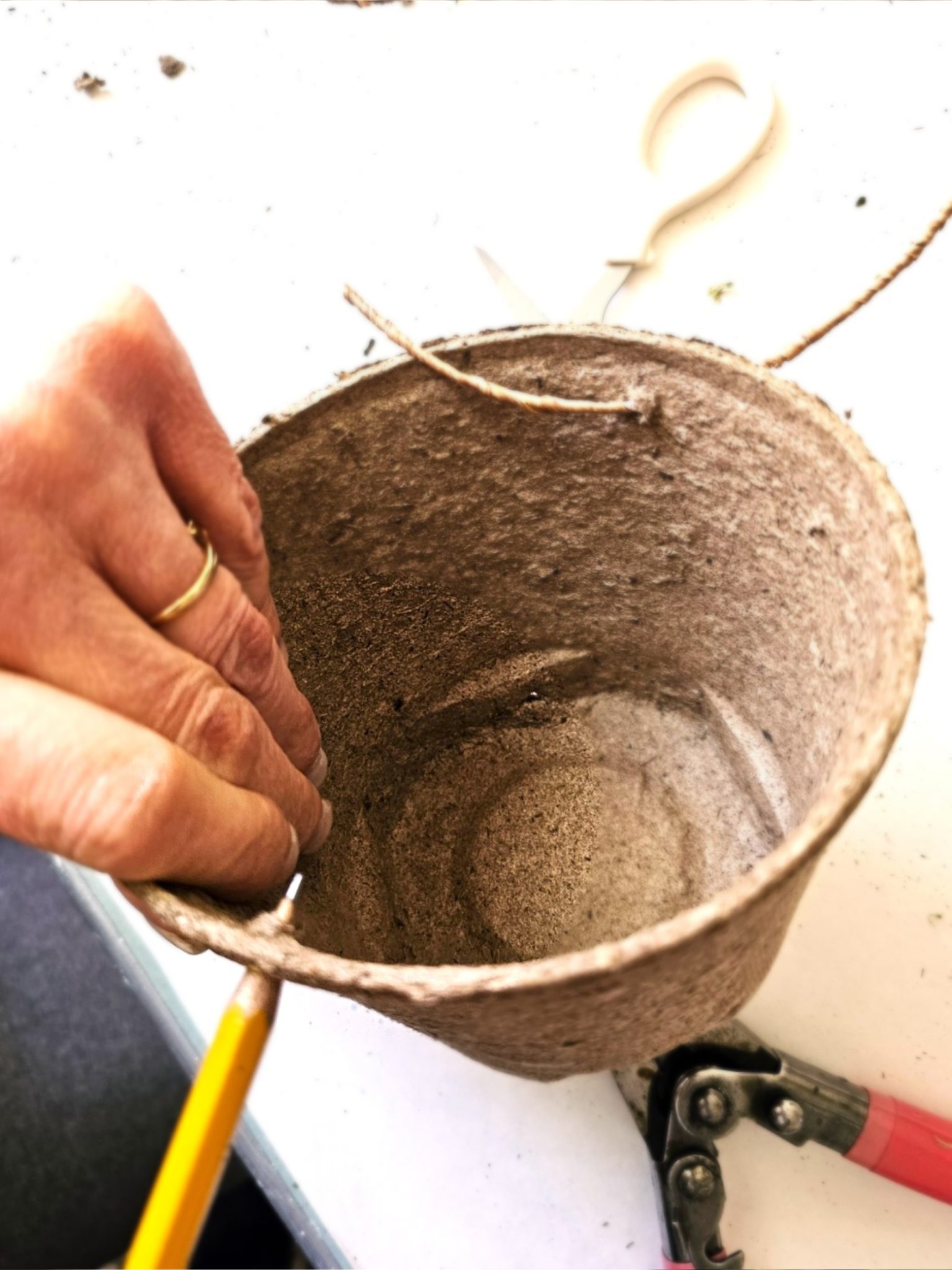 Spring Peat Pot Treat Baskets In 15 Minutes! - Cloches & Lavender