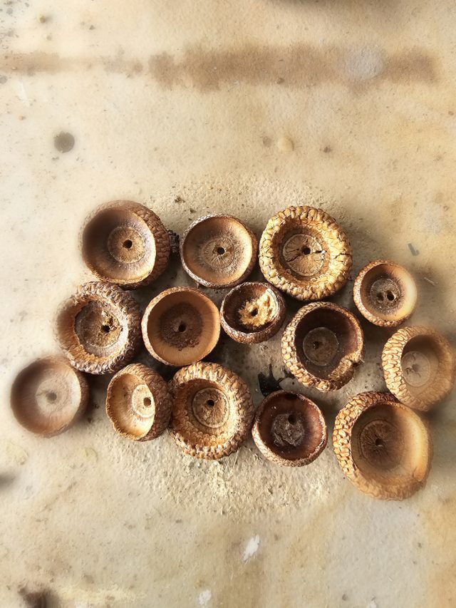 Acorn Napkin Rings Easy Fall to Craft Make Today! - Cloches & Lavender