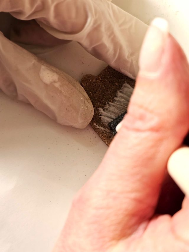 DIY Fall Salt Dough Wreath for Cozy Decor - Cloches & Lavender