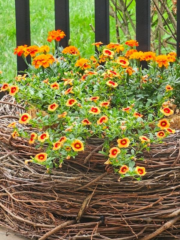 DIY Grapevine Wreath Planter – Fast & Easy! - Cloches & Lavender